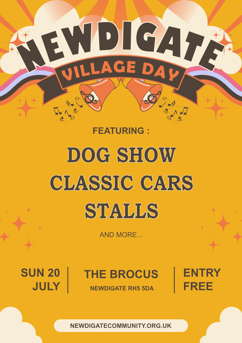Newdigate Village Day 2025 - Newdigate Community